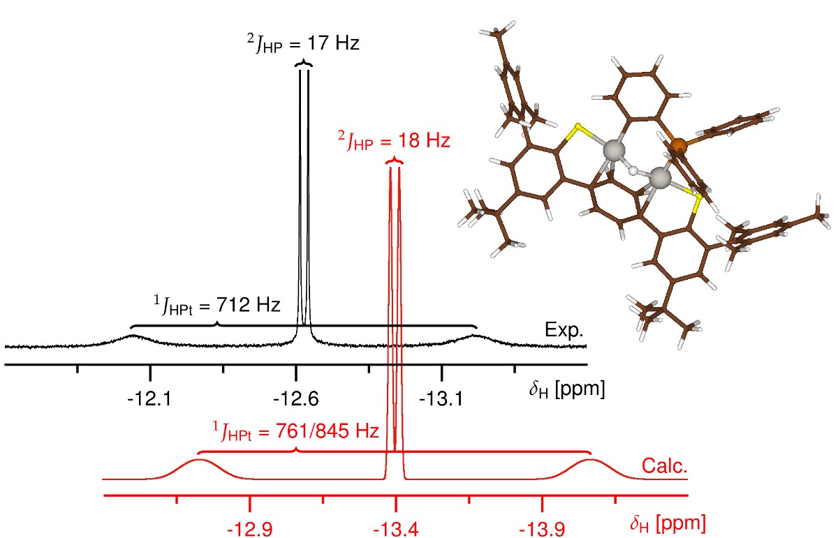 Unraveling structure and reactivity of Pt complexes: NMR & EPR - SCM