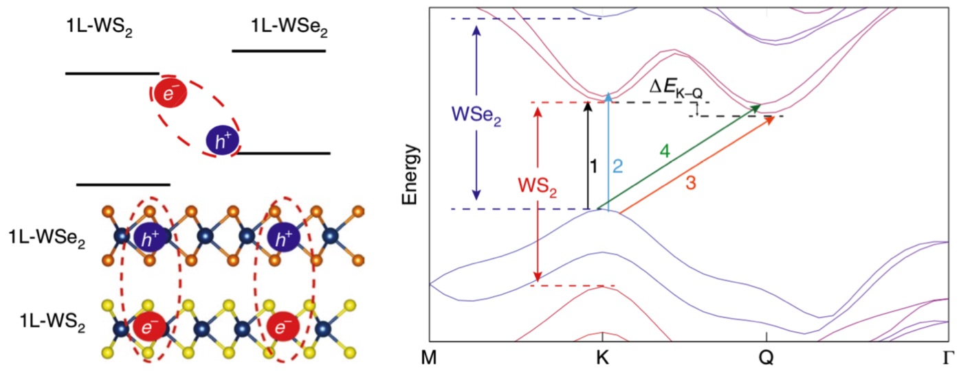 Excitons with a twist: 2D optoelectronics - SCM