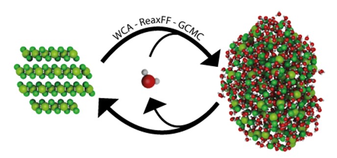 Reactive Grand-Canonical Monte Carlo Simulations for Modeling Hydration ...