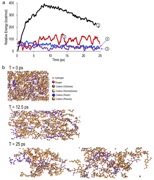 Understanding biological matrix composites using ReaxFF Simulations - SCM