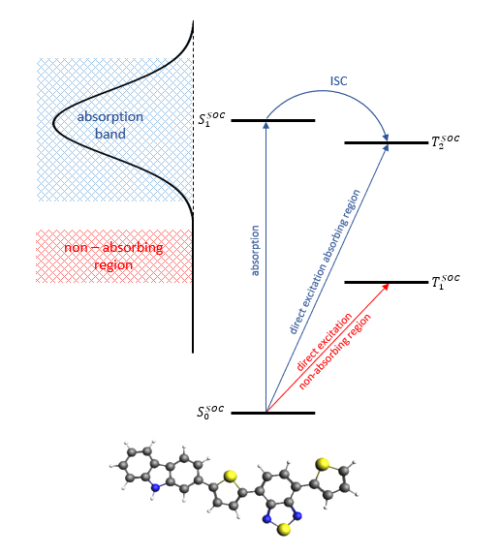 Spin-forbidden transitions of a conjugated polymer repeat unit ...