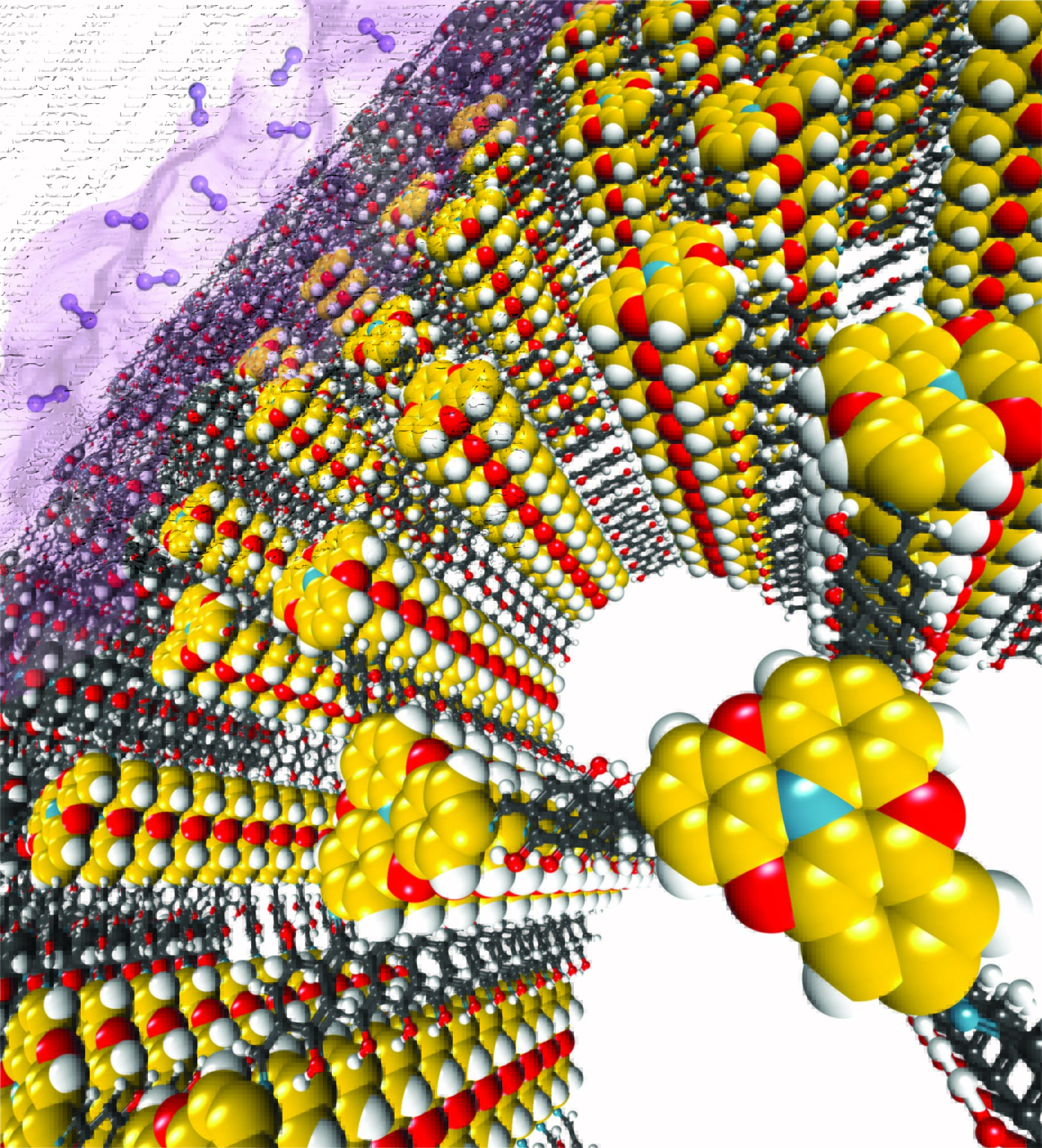 New single-layer 2D Covalent Organic Framework discovered: TANG-COF ...