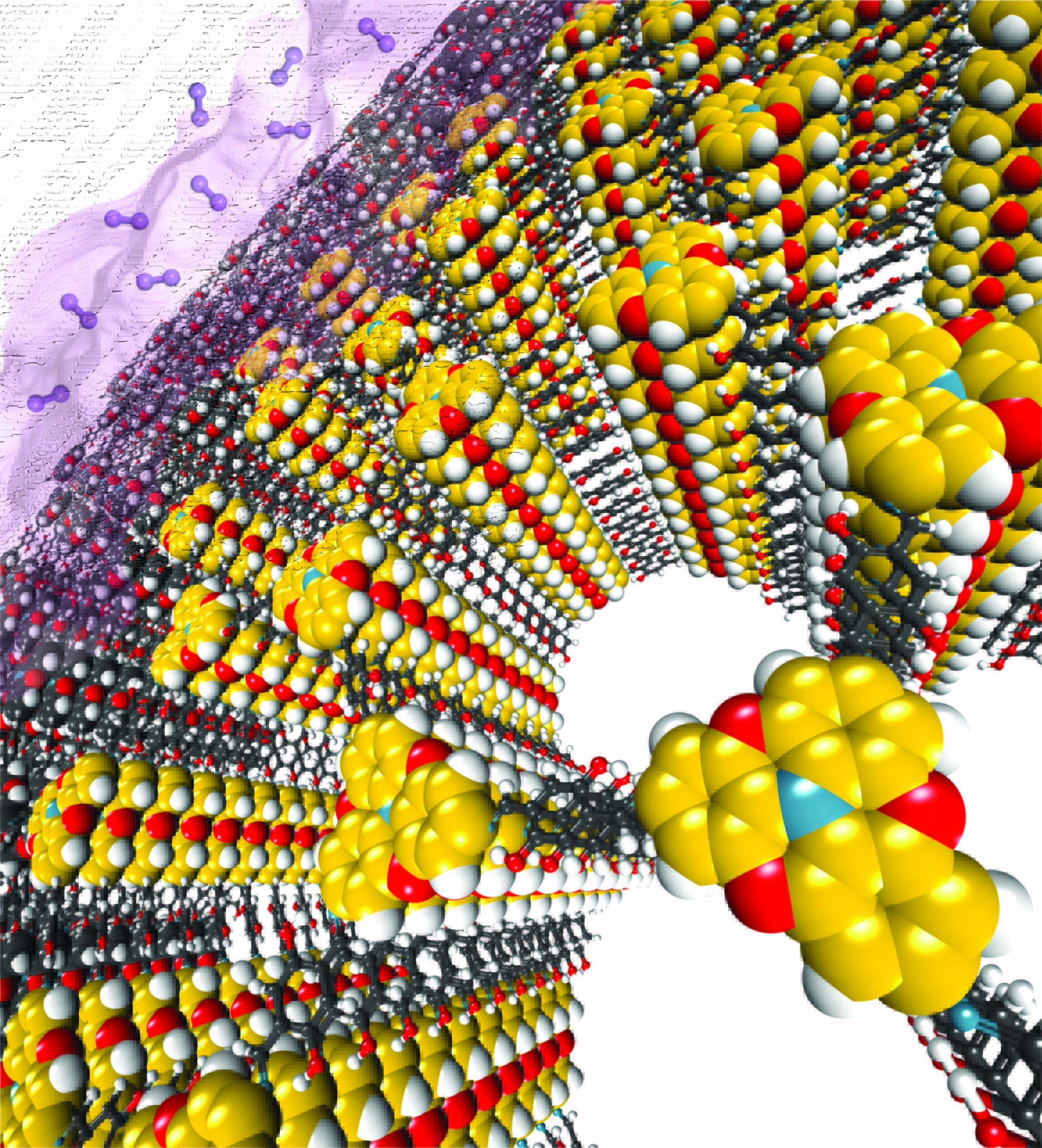 New Single Layer 2d Covalent Organic Framework Discovered Tang Cof