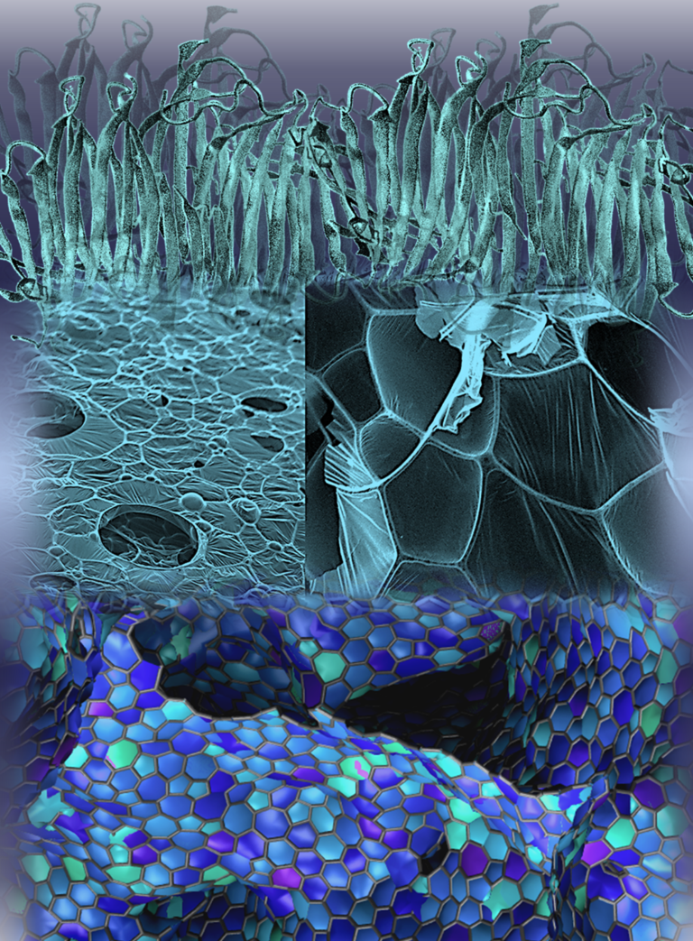 Ultalight Aerogels From Protein Aggregate Pyrolysis Experiments And